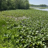 Congers Lake Trail and Boardwalk [PRIVATE PROPERTY], New York - 290 ...