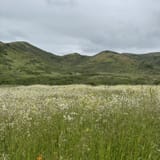 Gerbode Valley Loop, California - 447 Reviews, Map | AllTrails