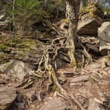 Burroughs Range Trail (Wittenberg, Cornell, Slide Trail), New York ...