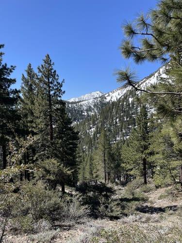 Best Hikes and Trails in Galena Creek Regional Park | AllTrails