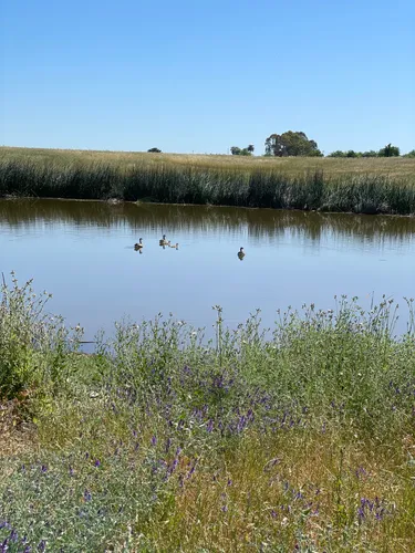 Best Hikes and Trails in Dow Wetlands Preserve | AllTrails