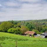 Gomshall Mill and Netley Park Circular, Surrey, England - 219 Reviews ...