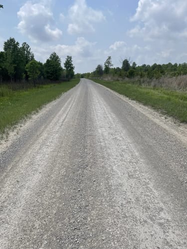 Best Hikes and Trails in Patoka River National Wildlife Refuge | AllTrails