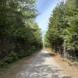 North Eastern State Trail, Michigan - 57 Reviews, Map | AllTrails