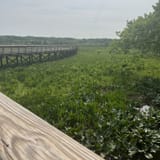 Neabsco Creek Boardwalk, Virginia - 655 Reviews, Map | AllTrails