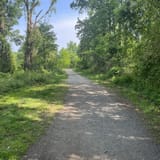Neabsco Creek Boardwalk, Virginia - 655 Reviews, Map | AllTrails