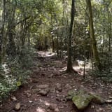 Cerro Tres Kandú: 12 fotos - Guairá, Paraguay | AllTrails