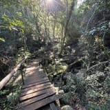 Cerro Tres Kandú: 12 fotos - Guairá, Paraguay | AllTrails