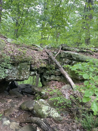 2023 Best Waterfall Trails in Prentice Cooper State Forest | AllTrails