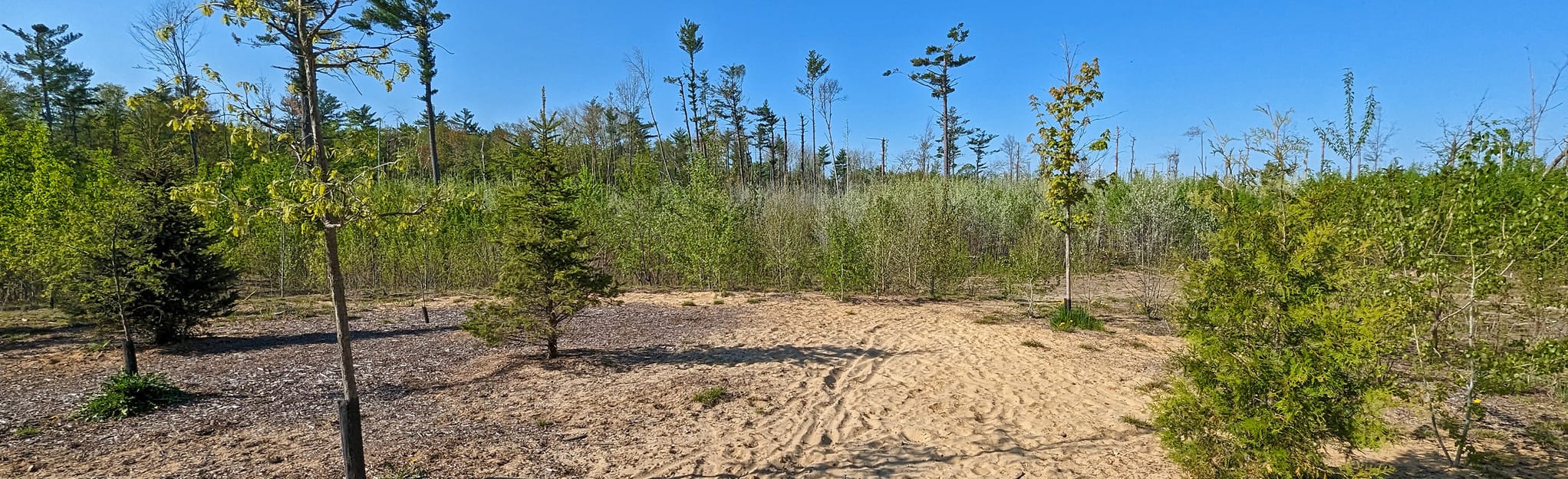 Bruce Pit Dog Park: 74 foto - Ontario, Canada | AllTrails