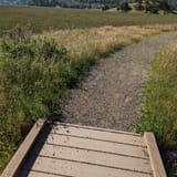 Turtleback Point Loop, California - 155 Reviews, Map | AllTrails