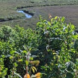 Turtleback Point Loop, California - 155 Reviews, Map | AllTrails