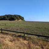 Turtleback Point Loop, California - 155 Reviews, Map | AllTrails