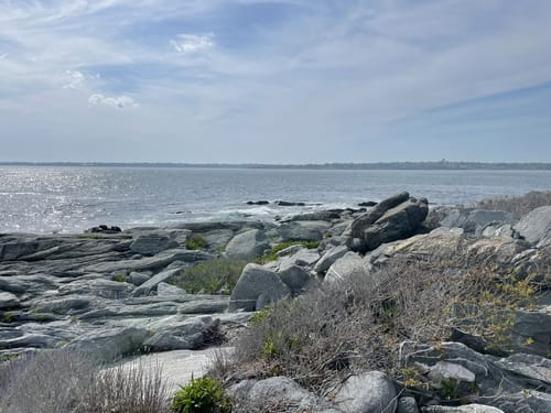 Best Hikes and Trails in Sachuest Point National Wildlife Refuge ...