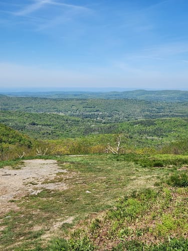 Best Hikes and Trails in Taconic Ridge State Forest | AllTrails