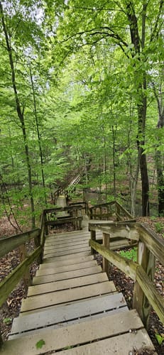 Best Hikes and Trails in Hogback Ridge Park | AllTrails