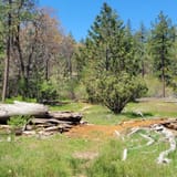 Metate Trail, California - 240 Reviews, Map | AllTrails