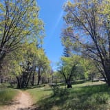 Metate Trail, California - 240 Reviews, Map | AllTrails
