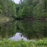 Mountain Tea State Forest Cabin and Pond, Indiana - 182 Reviews, Map ...
