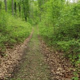 Mountain Tea State Forest Cabin and Pond, Indiana - 189 Reviews, Map ...