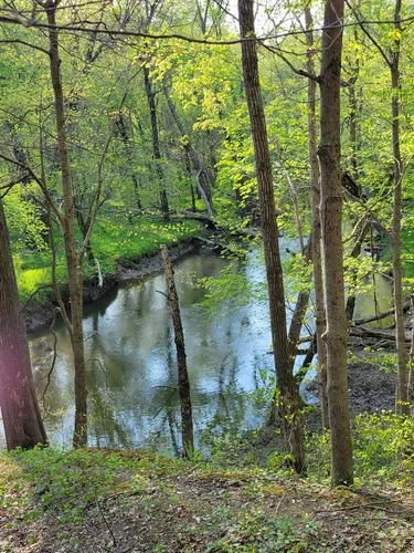 Best 10 Hiking Trails in Wayne National Forest | AllTrails