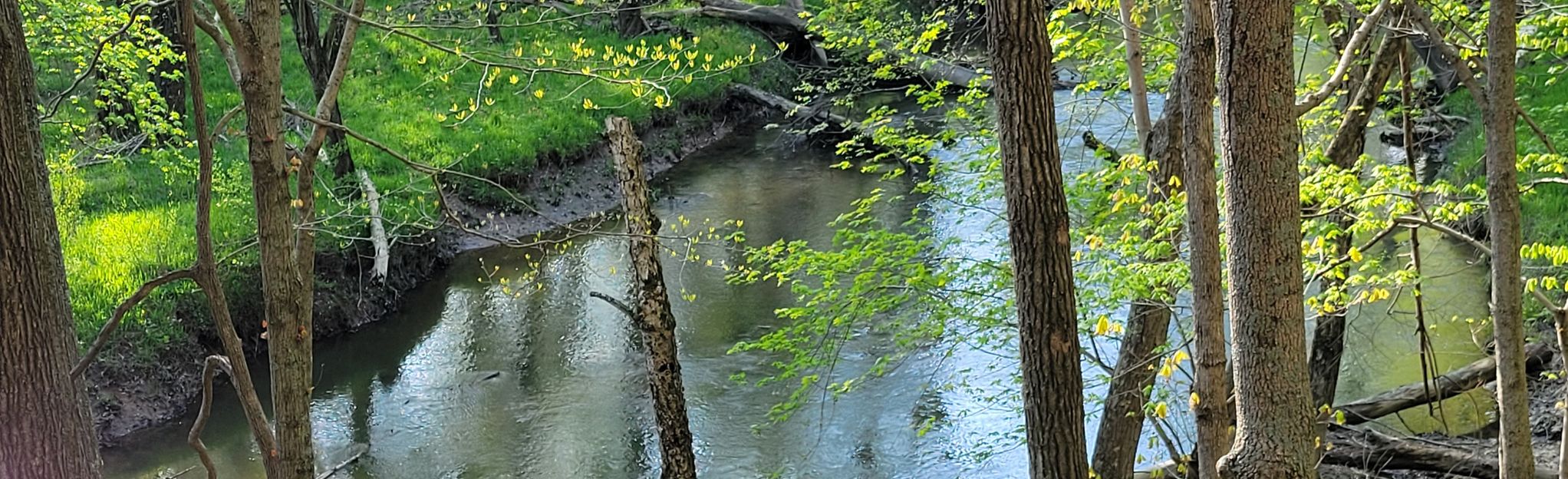 Symmes Creek Trail and Morgan Sisters Trail Loop: 11 Reviews, Map ...