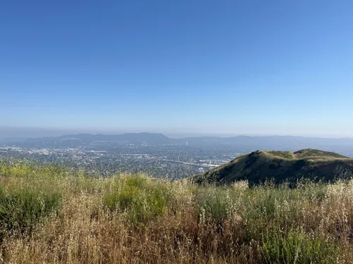 Best Hikes and Trails in Verdugo Mountain Park | AllTrails