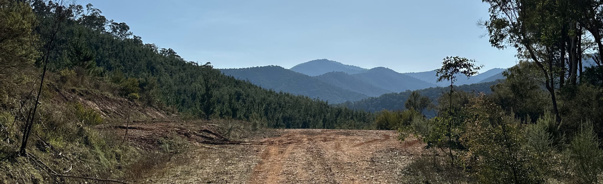 Mystic Hill via Bright, Victoria, Australia - 6 Reviews, Map | AllTrails