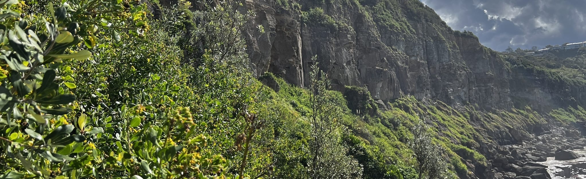 Awabakal Coastal Walk, New South Wales, Australia - 132 Reviews, Map ...