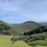 Crespi Trail, California - 224 Reviews, Map | AllTrails