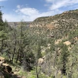 Spruce Canyon Trail, Colorado - 271 Reviews, Map | AllTrails