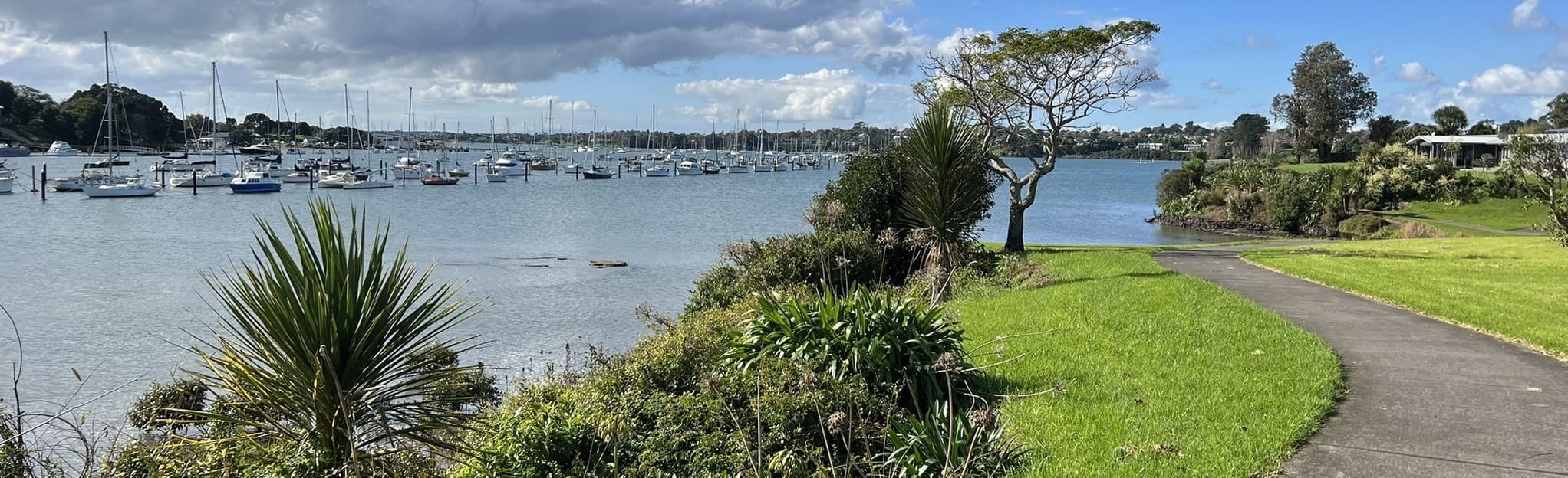Pakuranga Rotary Path, Auckland, New Zealand - 114 Reviews, Map | AllTrails