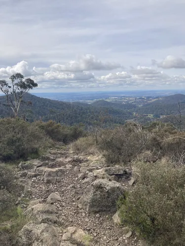 Best Moderate Trails in Mount Canobolas State Conservation Area | AllTrails