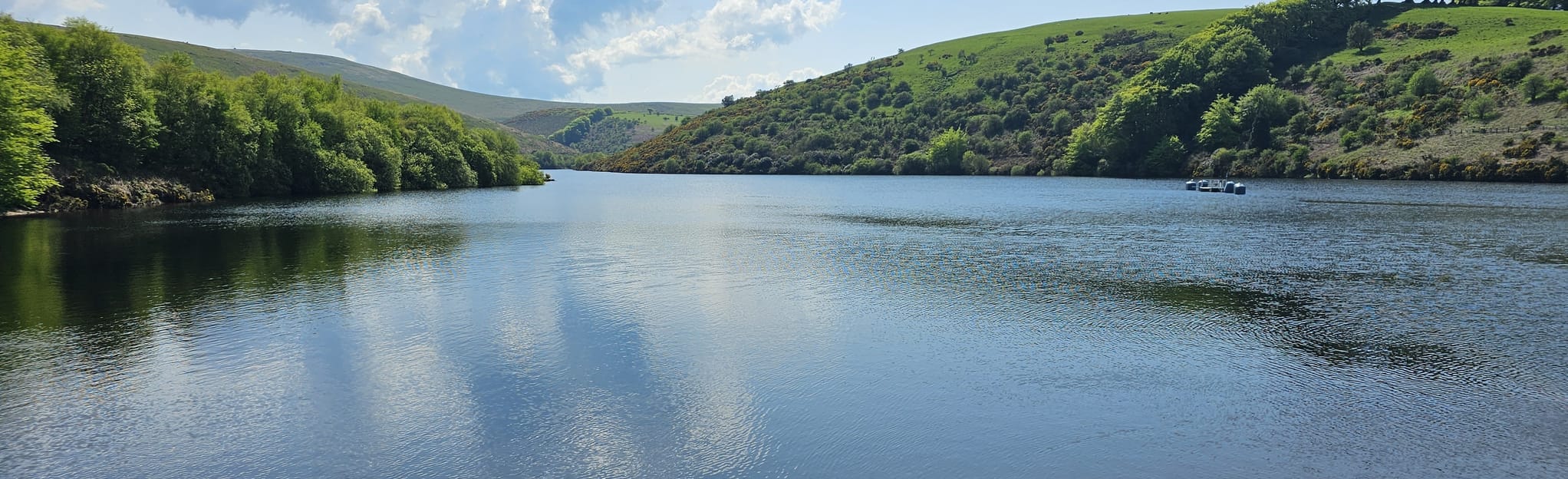 Meldon Reservoir and Black Tor: 461 foto - Devon, Inghilterra | AllTrails