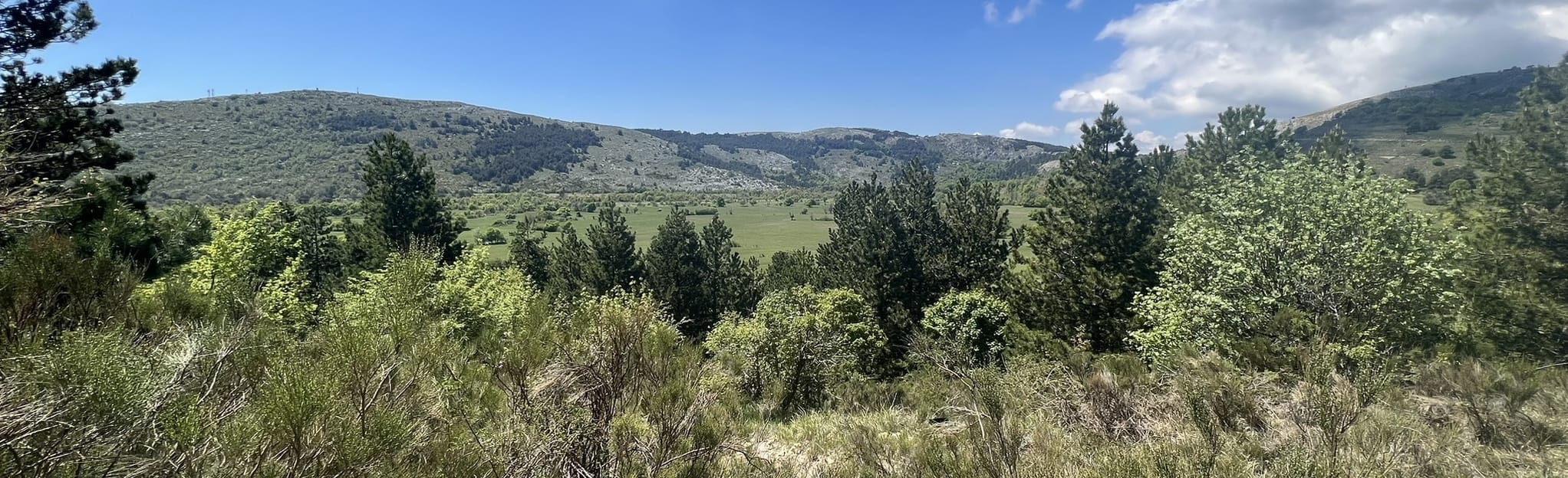 Grasse - Col du Clapier - Homme de Calern: 2 Reviews, Map - Alpes ...