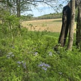 Farmdale Recreation Area Trail, Illinois - 804 Reviews, Map | AllTrails