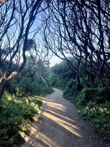 Best Hikes and Trails in Lorne Queenscliff Coastal Reserve | AllTrails