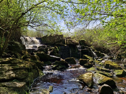 Best Hikes and Trails in Slieve Bloom Mountains Nature Reserve | AllTrails