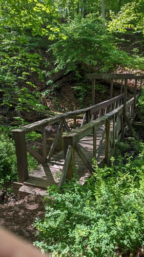 2023 Best Wheelchair Friendly Trails in Tyler State Park | AllTrails