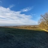 Romaldkirk Circular, County Durham, England - 91 Reviews, Map | AllTrails