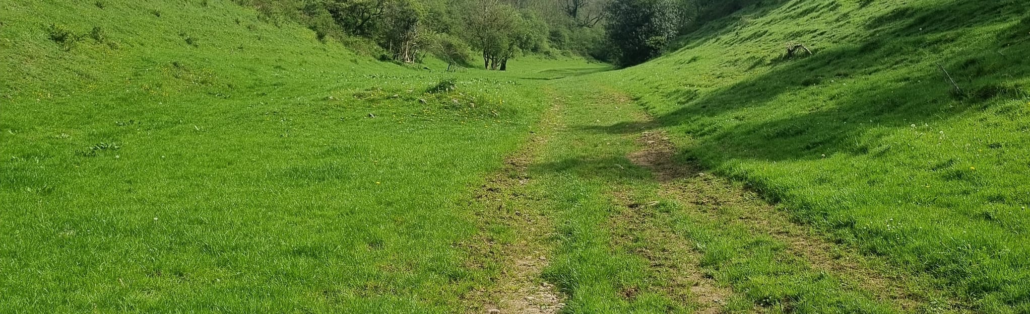 Manifold Track Circular: 20 Reviews, Map - Staffordshire, England ...
