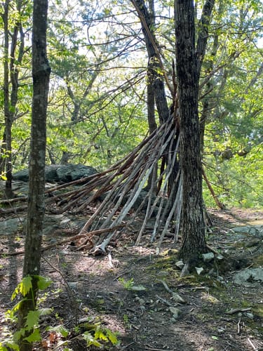 Best Hikes and Trails in Whipple Hill Conservation Lands | AllTrails