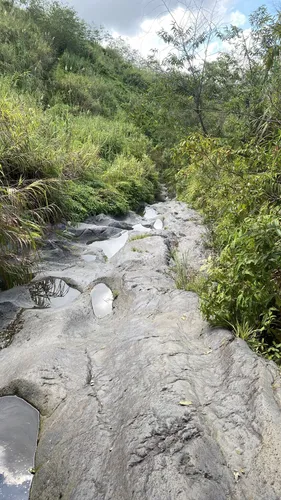 Best Hikes and Trails in Cagar Alam Gunung Lokon | AllTrails
