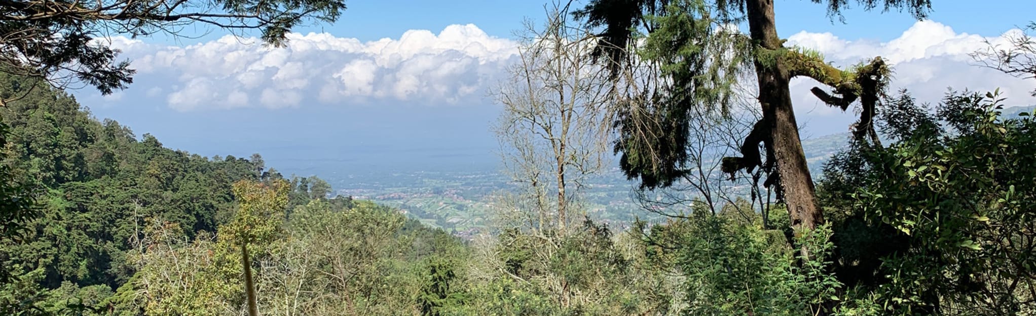 Merbabu Mountain Trail, Central Java, Indonesia - 56 Reviews, Map ...