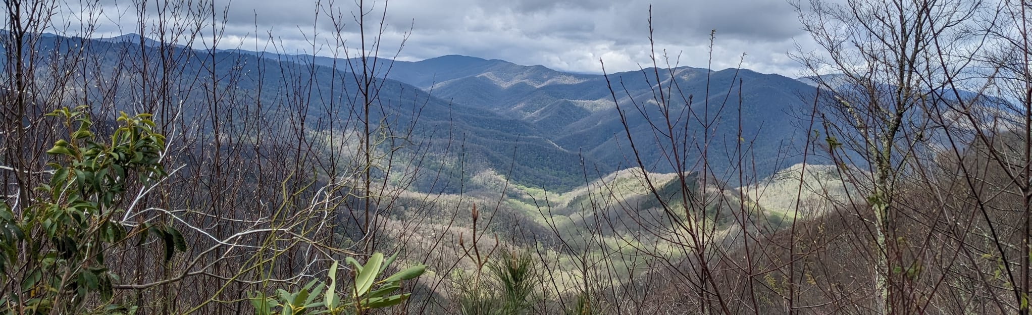 Mount Collins via Little River Trail and Sugarland Mountain Trail: 25 ...