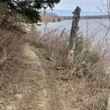 Moon Lake Trail, Manitoba, Canada - 248 Reviews, Map | AllTrails