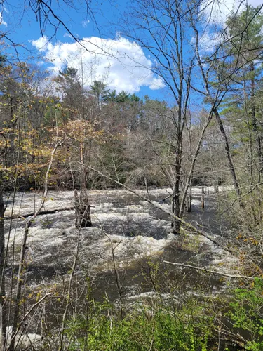 Best Hikes and Trails in Payson Park | AllTrails