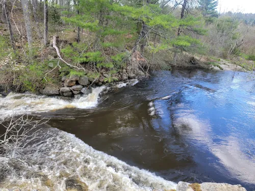 Best Hikes and Trails in Payson Park | AllTrails