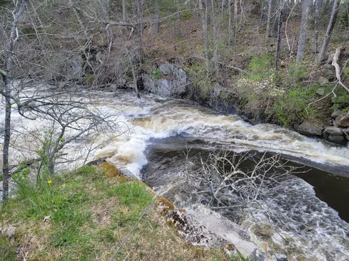 Best Hikes and Trails in Payson Park | AllTrails