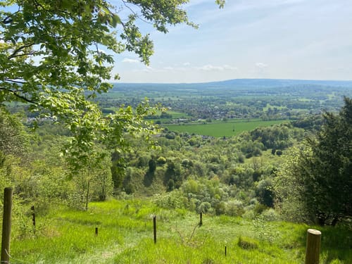 2023 Best Kid Friendly Trails in Mole Valley | AllTrails